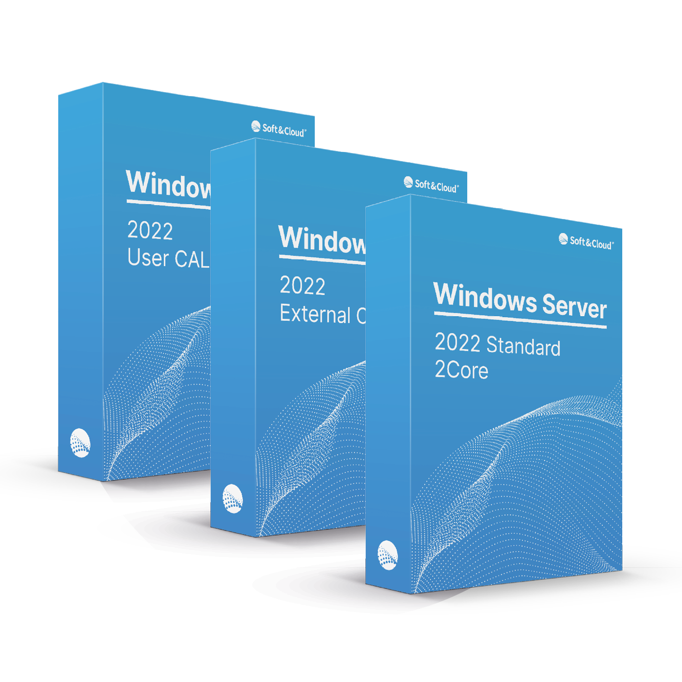 Used Microsoft Windows Server 2022 licenses